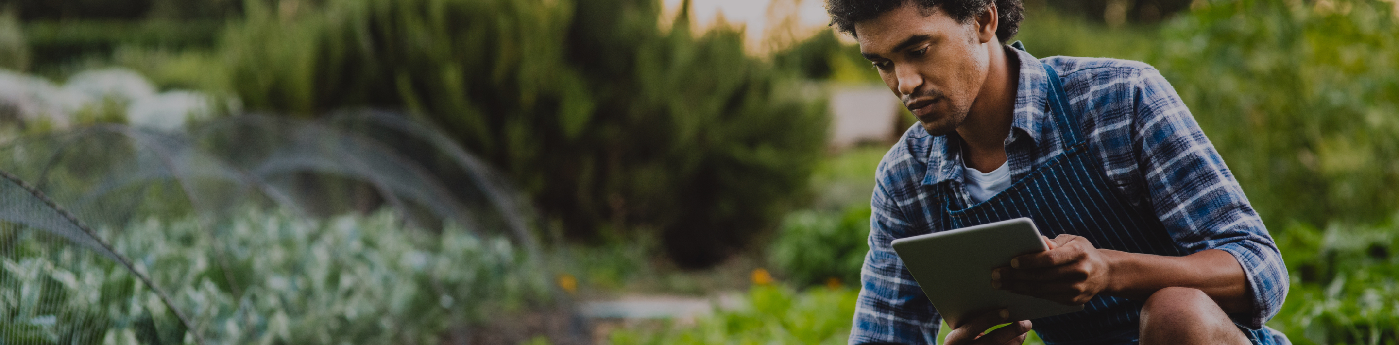 Agriculture | BMZ Digital.Global