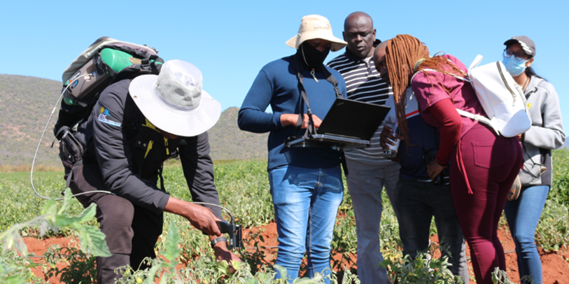 Using AI & Machine Learning for Precision Agriculture in South Africa | BMZ Digital.Global