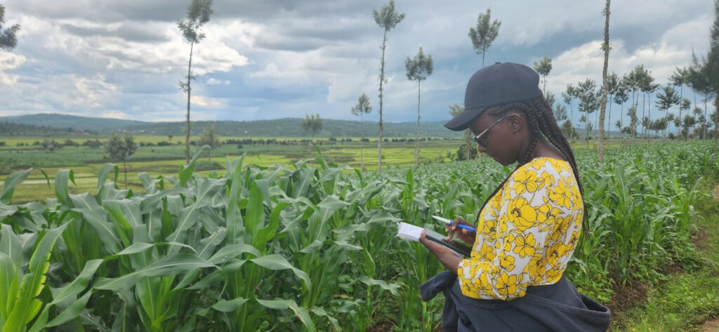 Solutions from space: Rwanda's smart harvest planning | BMZ Digital.Global