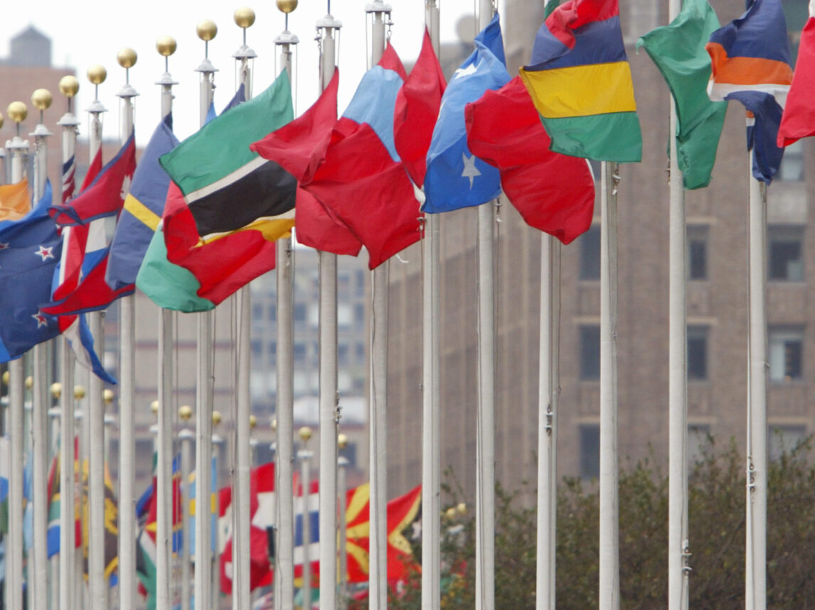 What we do | BMZ Digital.Global