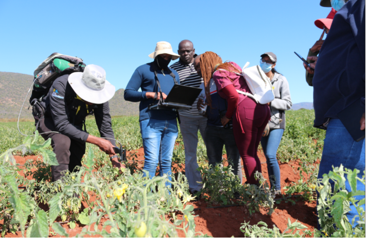 Using AI & Machine Learning for Precision Agriculture in South Africa ...