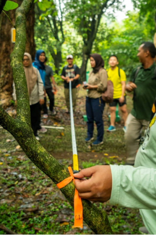 High Carbon Stock Approach: Mapping Forests to Combat Climate Change ...