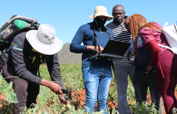 FAIR Forward – Open data for AI