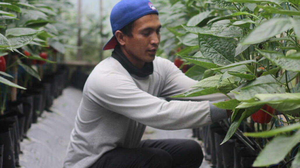 Newsroom | BMZ Digital.Global