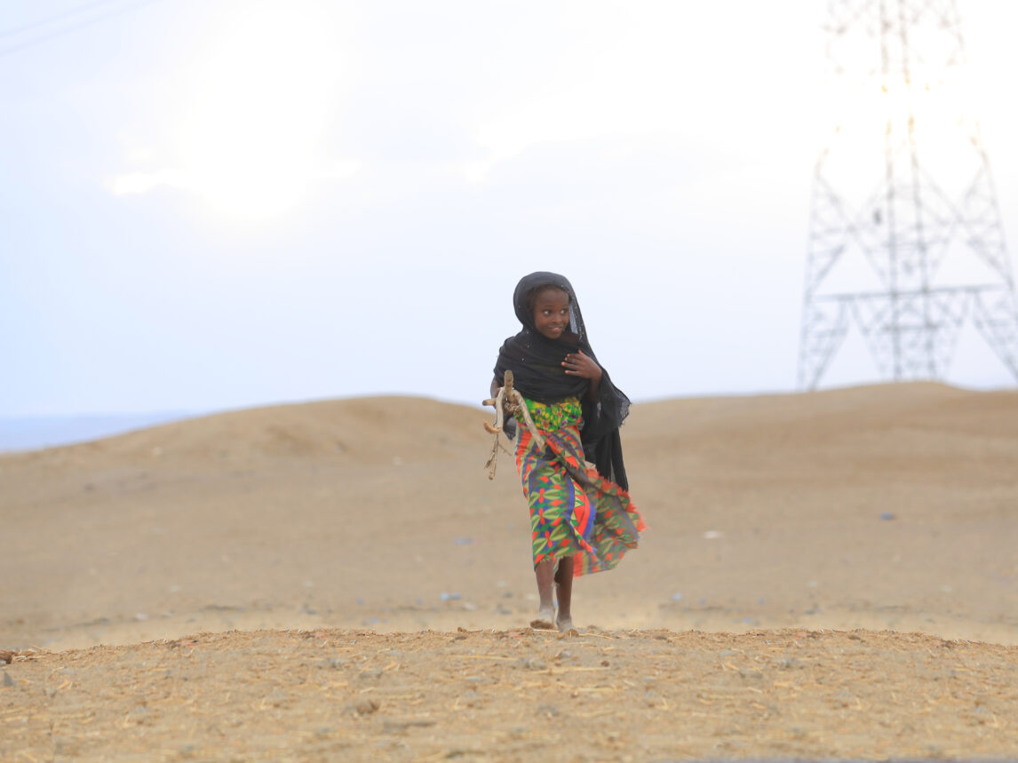 What we do | BMZ Digital.Global