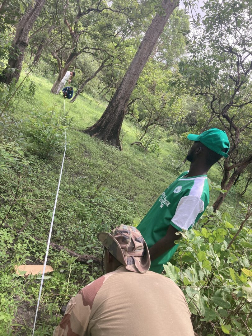 Mit KI gegen das Waldsterben in Senegal | BMZ Digital.Global
