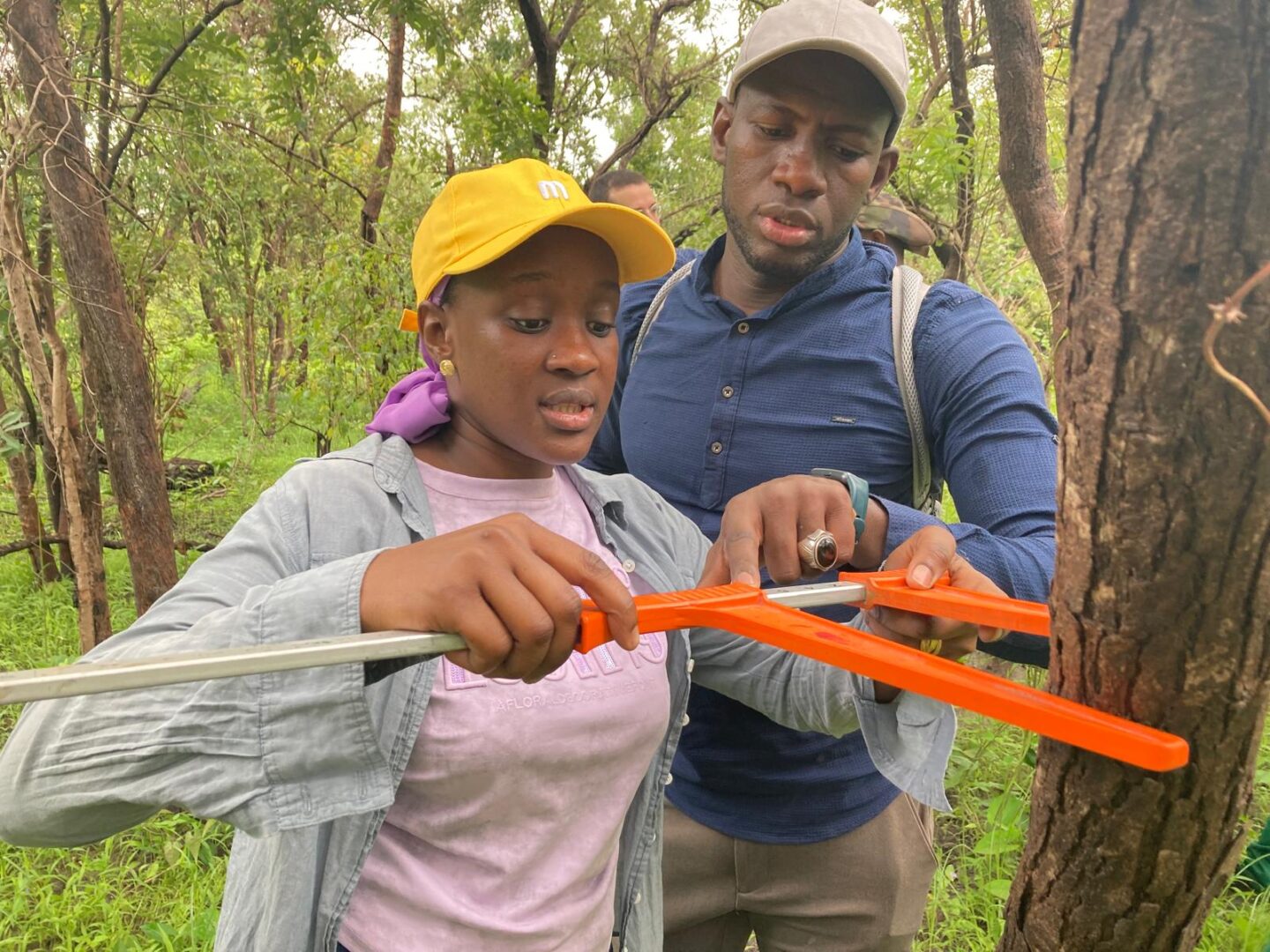 Mit KI gegen das Waldsterben in Senegal | BMZ Digital.Global